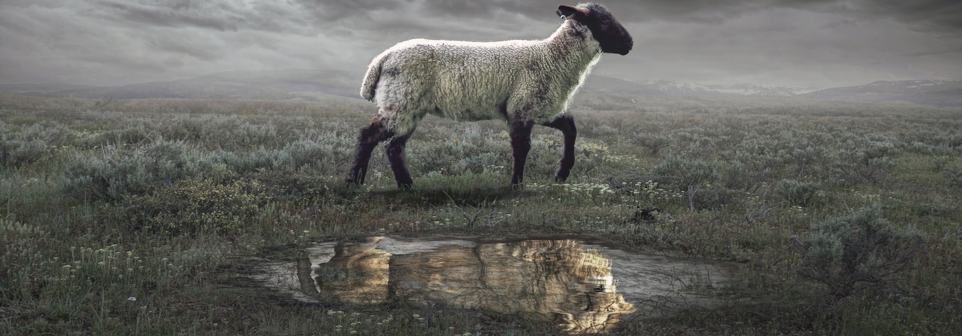 Worthy is the Lamb - Assembly of Yahuah