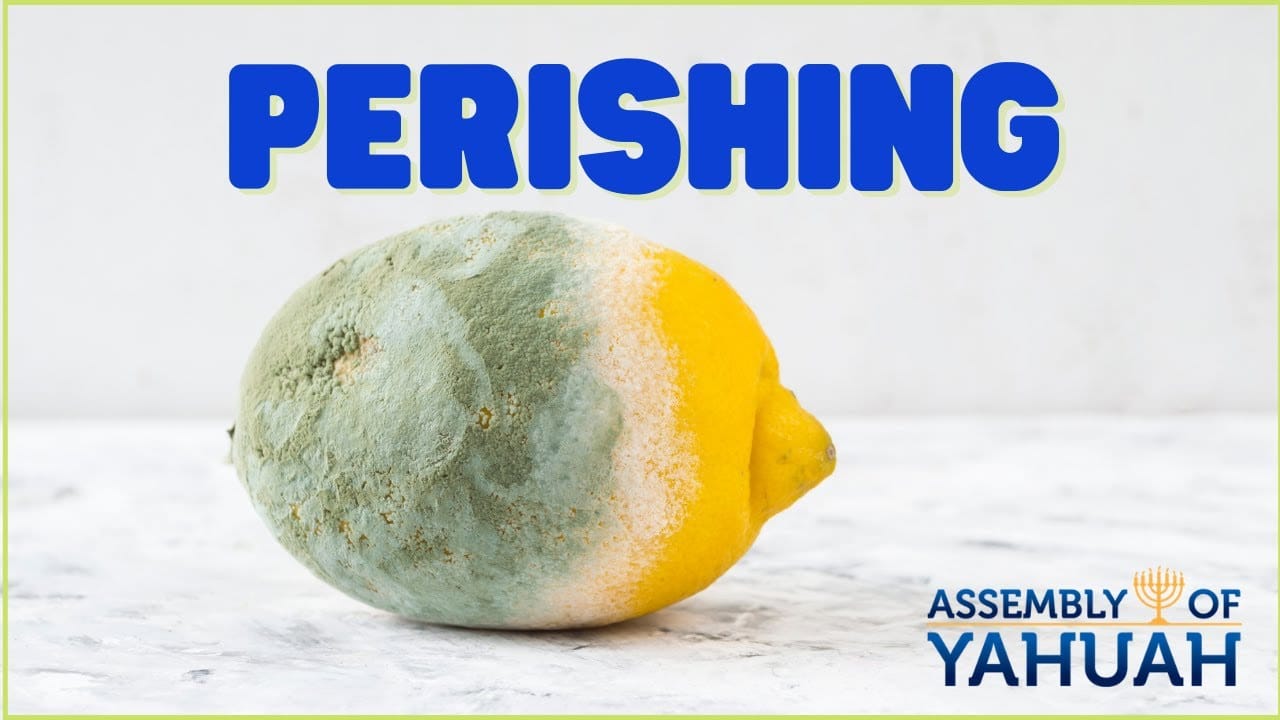 Perishing - Assembly of Yahuah