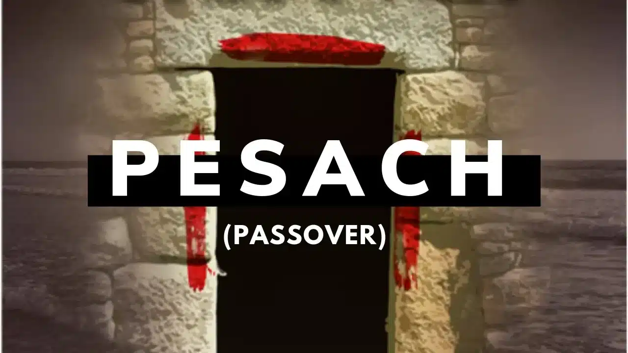 Feast Days - Assembly of Yahuah