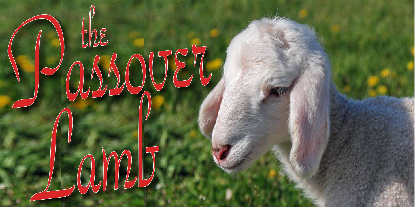 Why We Don't Kill & Eat a "Passover Lamb" During Pesach