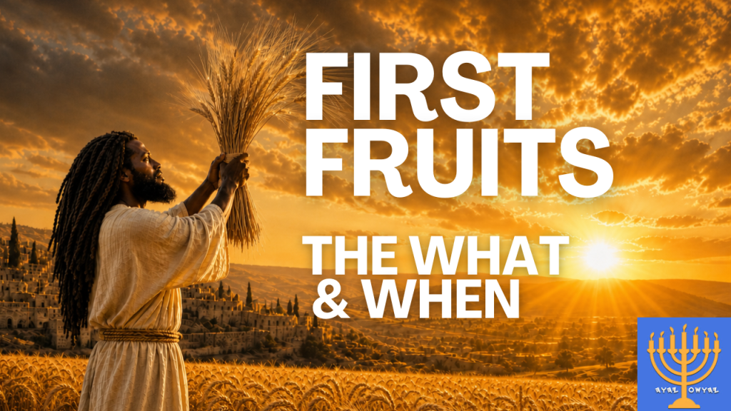 Counting the Omer 2026: From First Fruits to Shavuot - Assembly of Yahuah